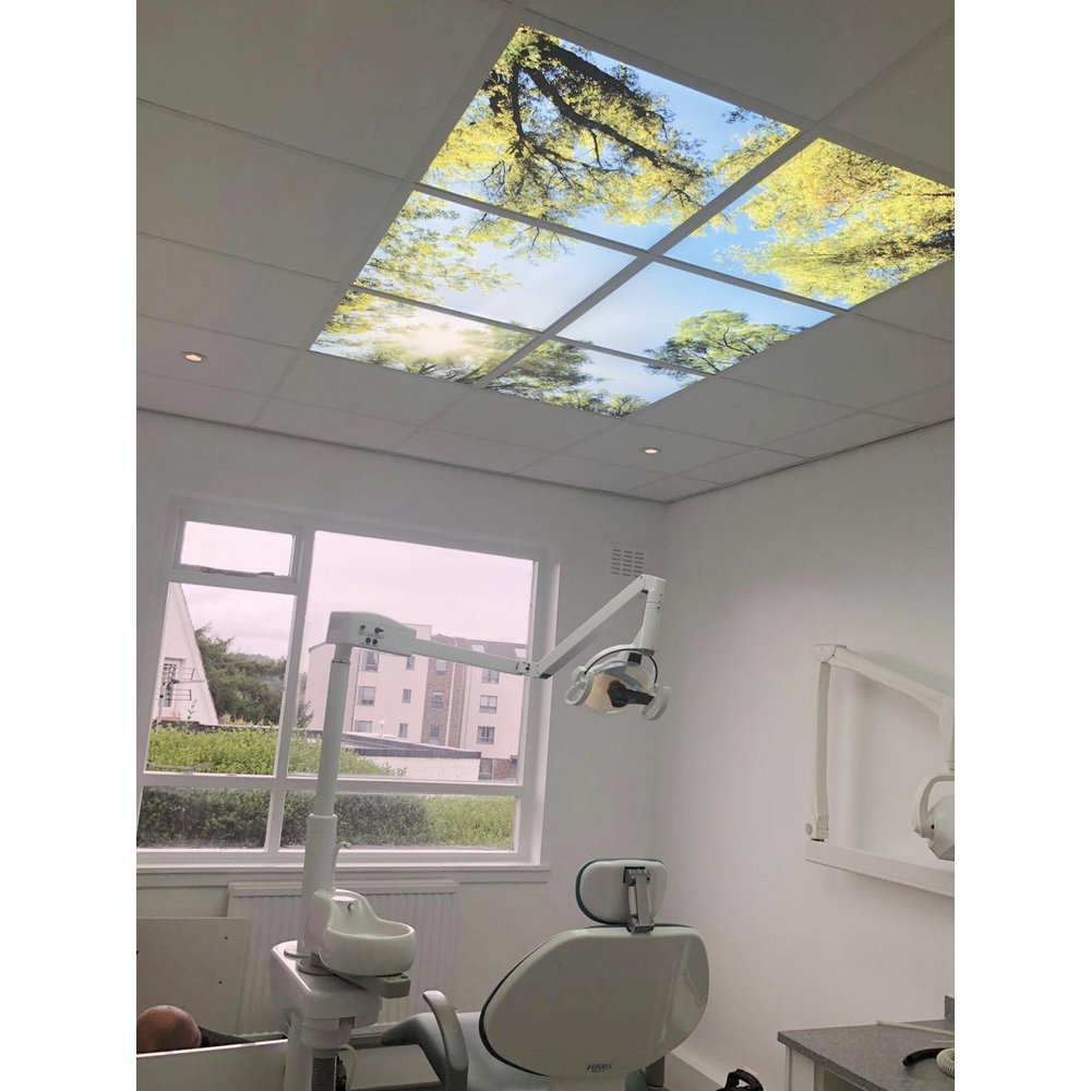 Sky Scene LED Panel Light, 6 x 30W, 3 x 2 (600 x 600 Panel), Sky/Tree ...