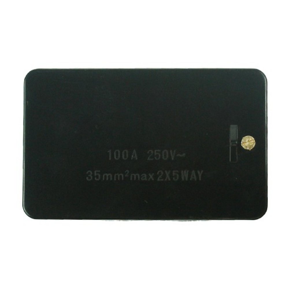 Click 100A Double Pole Connector Block
