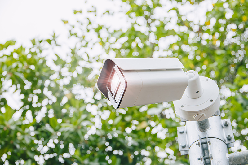 Sustainable Security: Green Products in the Security Sector | YESSS ...