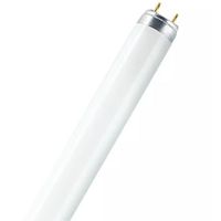 1514.2mm T8 Fluorescent Tubes | T8 Bulbs | YESSS Electrical
