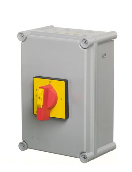 32A 2 Pole Insulated Enclosed Changeover Switch (IP65)