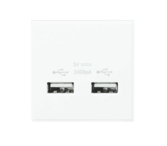 Twin USB Charging Outlet 2 Module Euro Module 50x50mm White